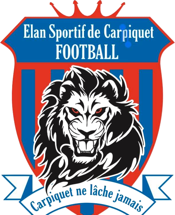 Shop ES CARPIQUET FOOTBALL at DG SPORTS/PRO | DG SPORTS/PRO